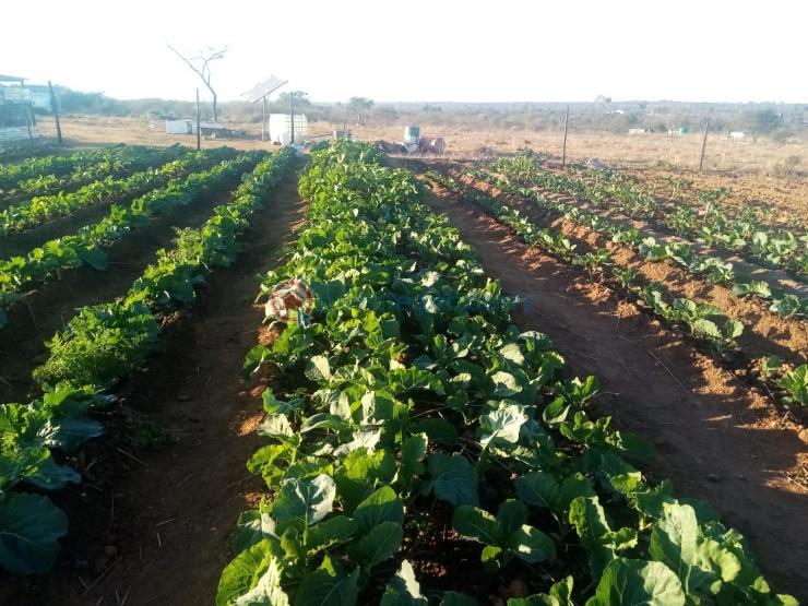 Farm & Agricultural land For Sale Kensington, Bulawayo Bulawayo East ...