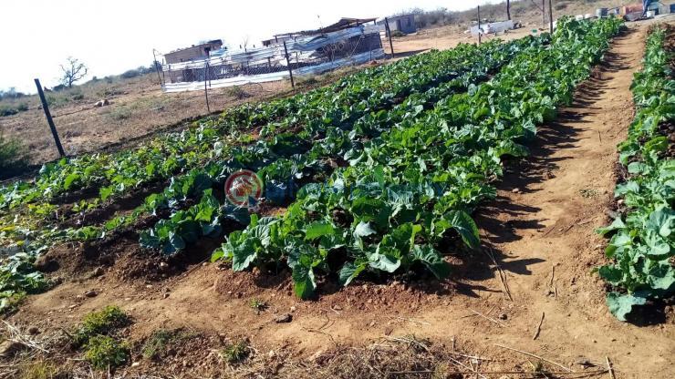 Farm & Agricultural land For Sale Kensington, Bulawayo Bulawayo East ...