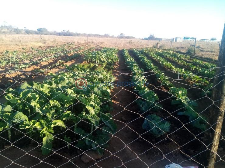 Farm & Agricultural land For Sale Kensington, Bulawayo Bulawayo East ...