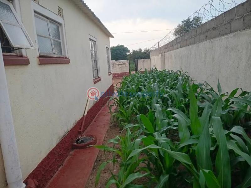 3 bedroom Houses For Sale Gwabalanda , Luveve 4 Bulawayo Luveve ...