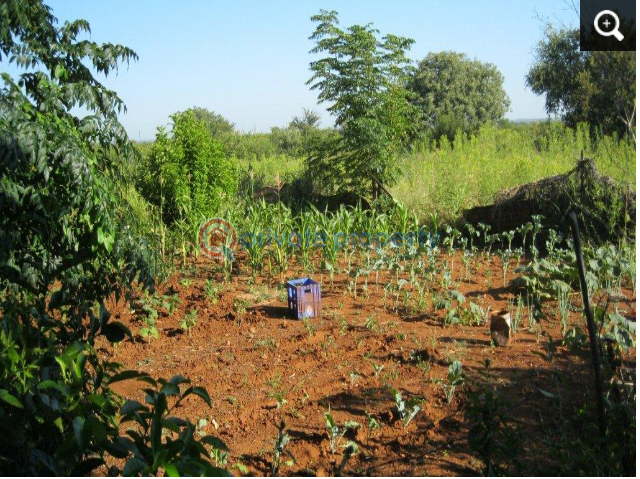 3 bedroom Land For Sale Rangemore, Bulawayo South (PID: 8PAADQ ...