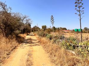 Land For Sale in Zimbabwe (386 Listed) | Private Property